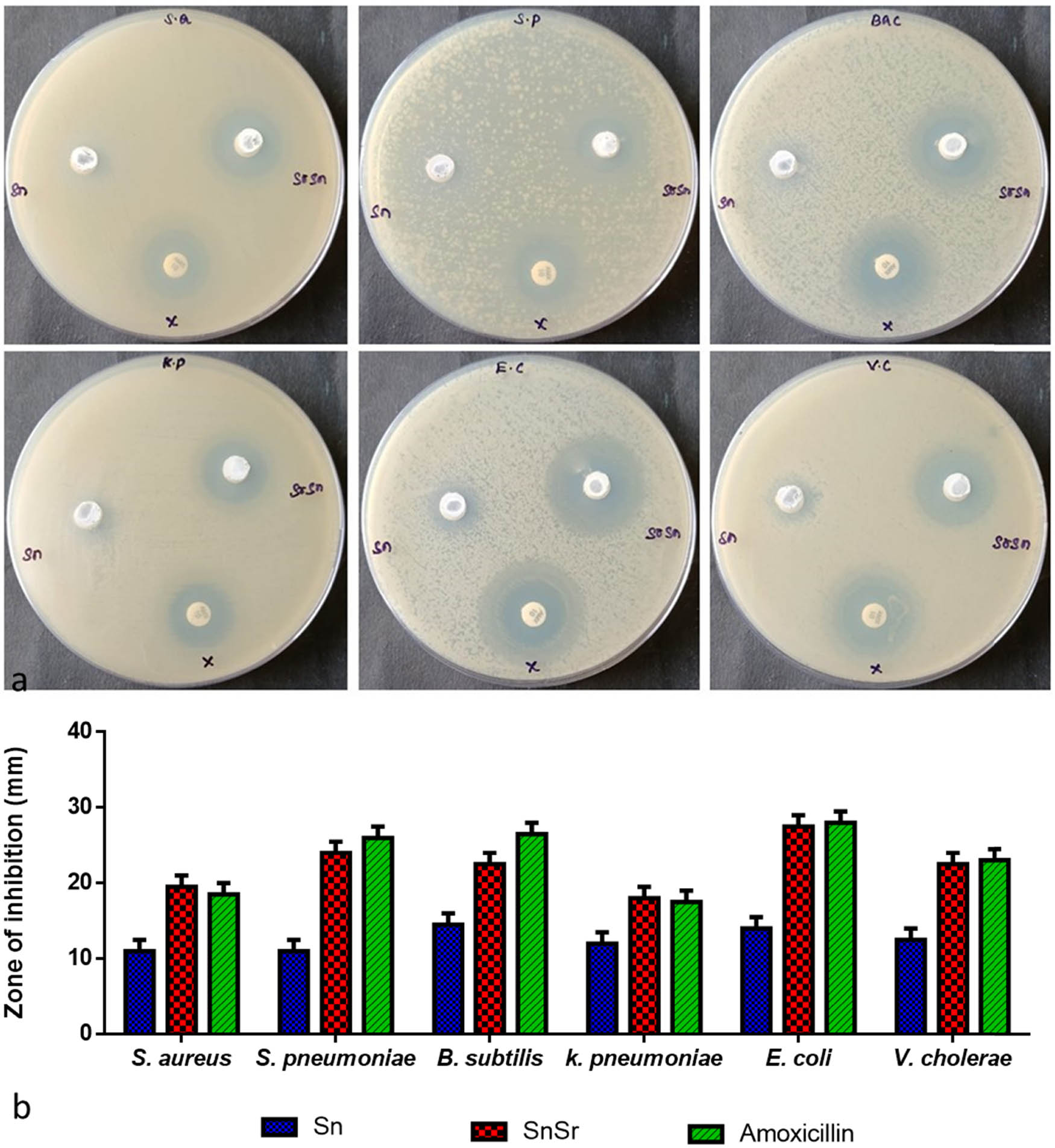 Green synthesis of strontium-doped tin dioxide (SrSnO2) nanoparticles ...