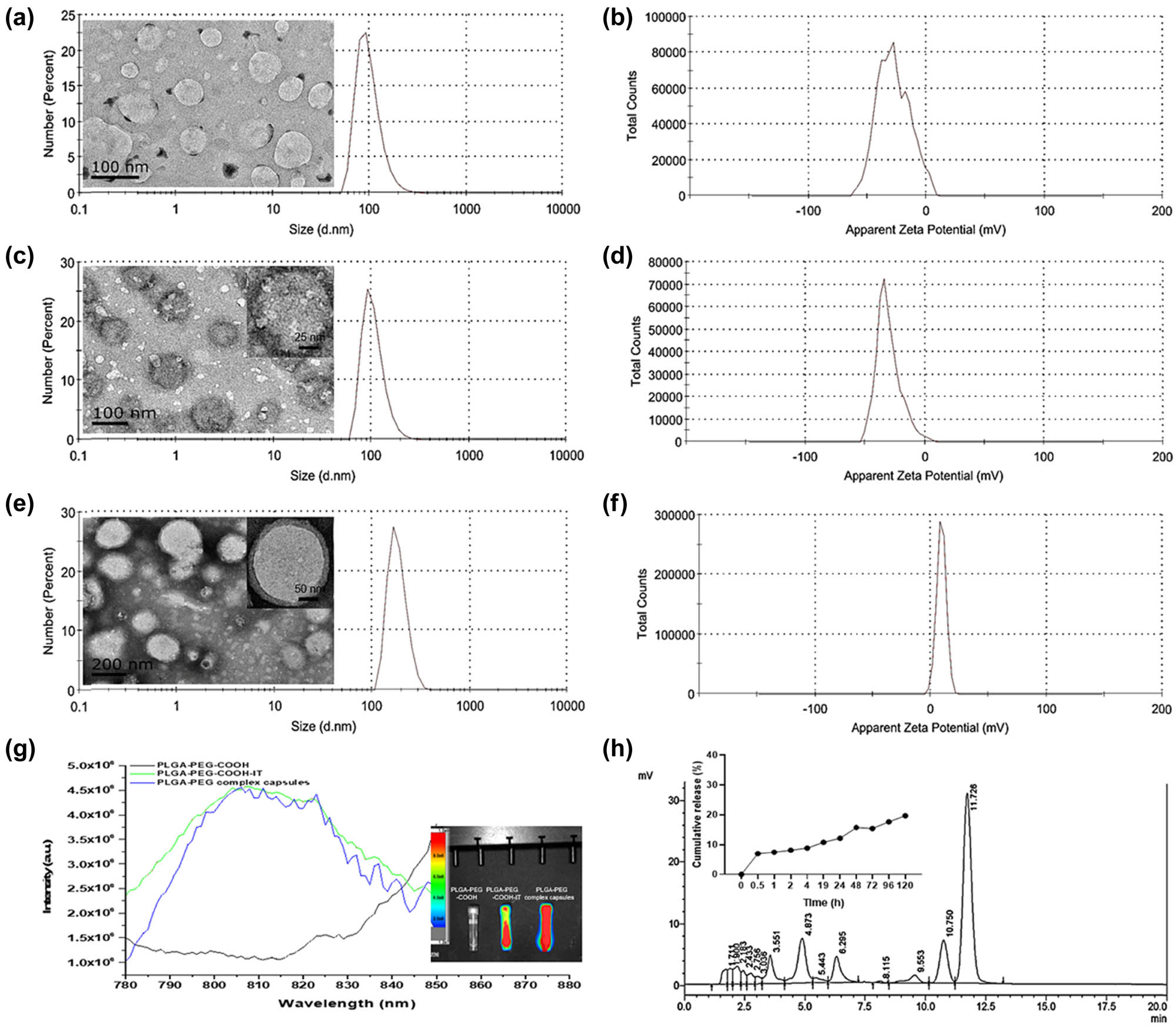 Nano-encapsulated tanshinone IIA in PLGA-PEG-COOH inhibits apoptosis ...
