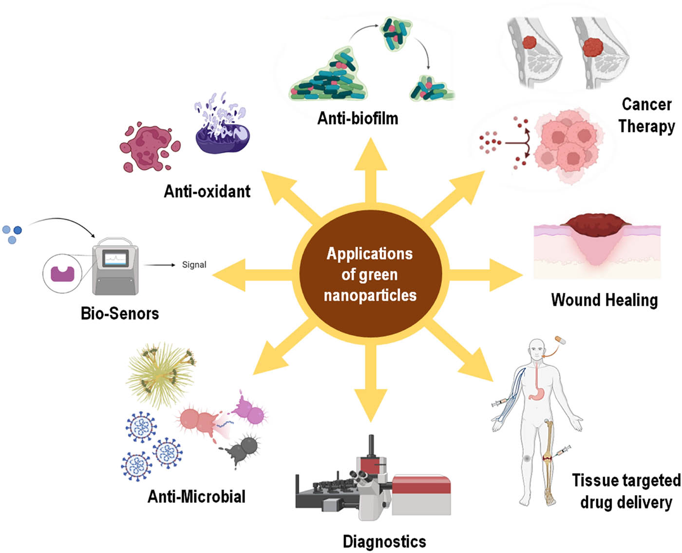 Green-synthesized nanoparticles and their therapeutic applications: A ...