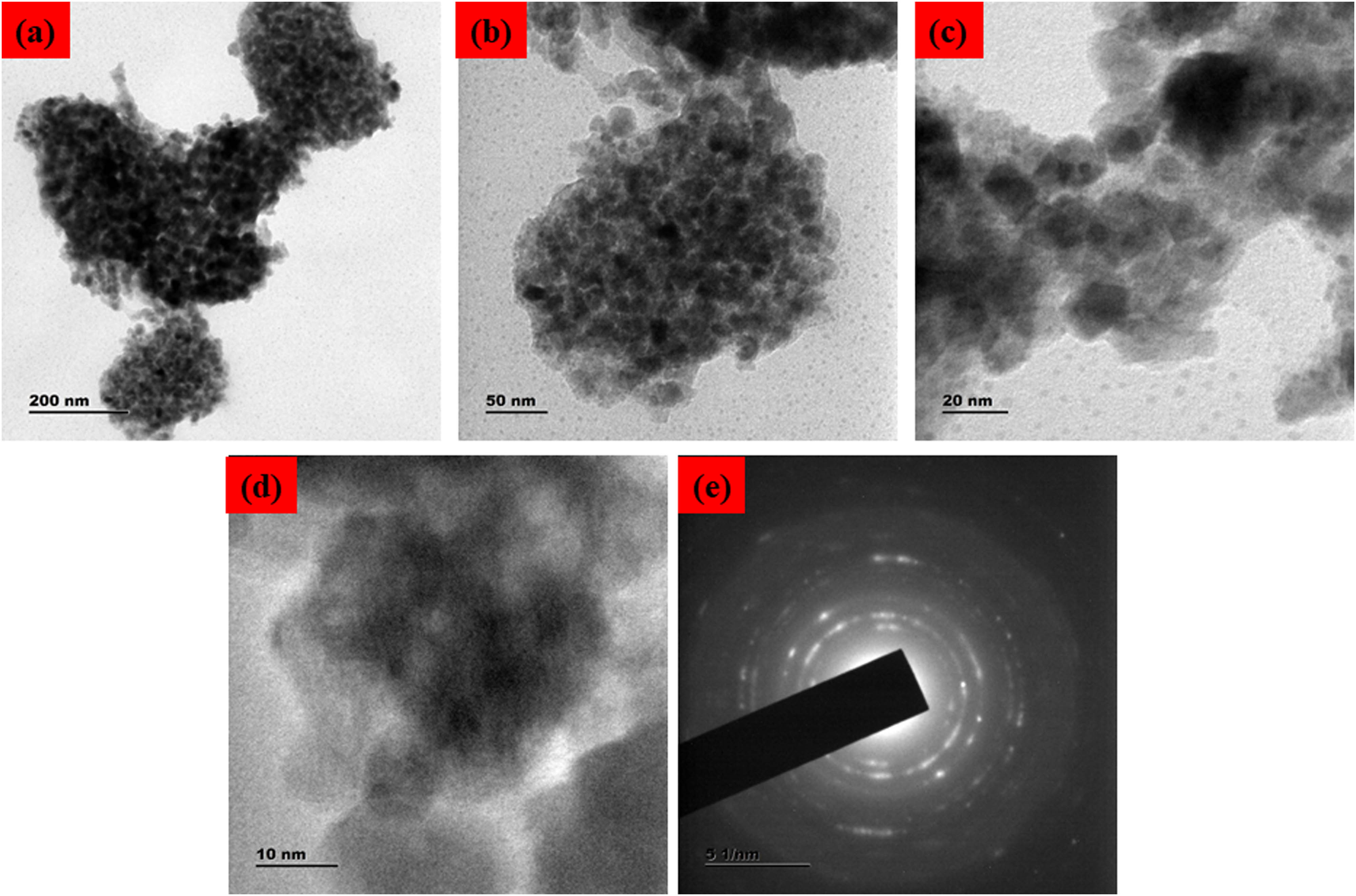 A study of the anticancer potential of Pluronic F-127 encapsulated ...