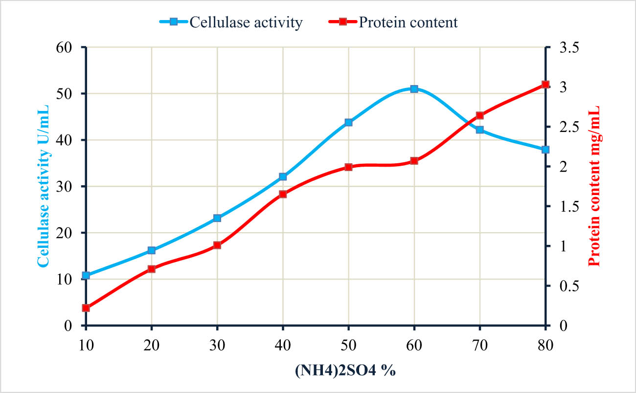 A thermo-tolerant cellulase enzyme produced by Bacillus ...
