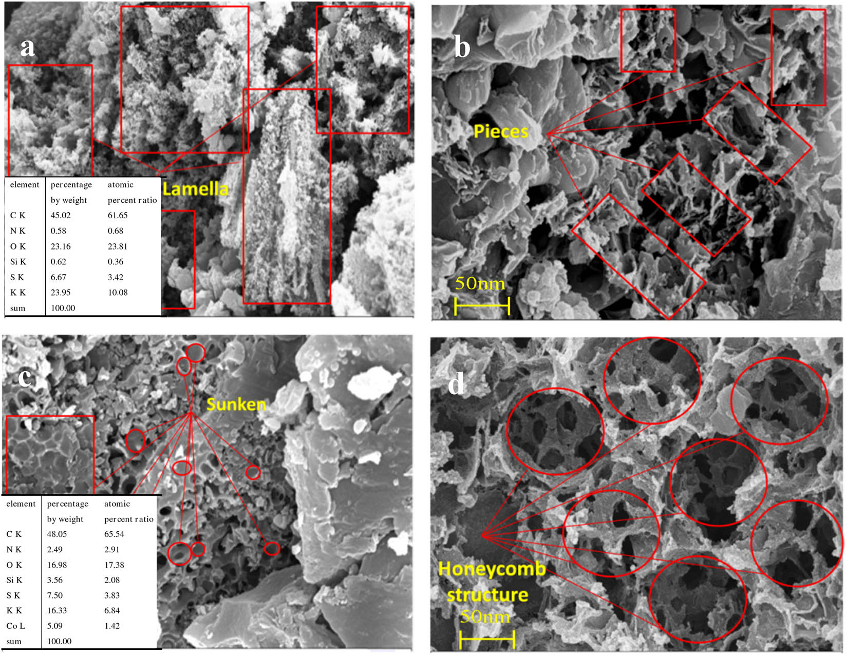 Adsorption synergy electrocatalytic degradation of phenol...