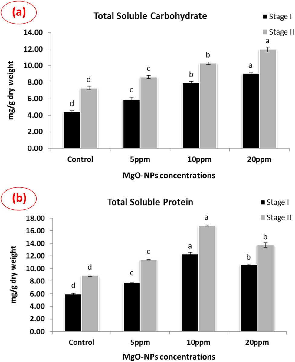 Green synthesis of magnesium oxide nanoparticles using endophytic ...