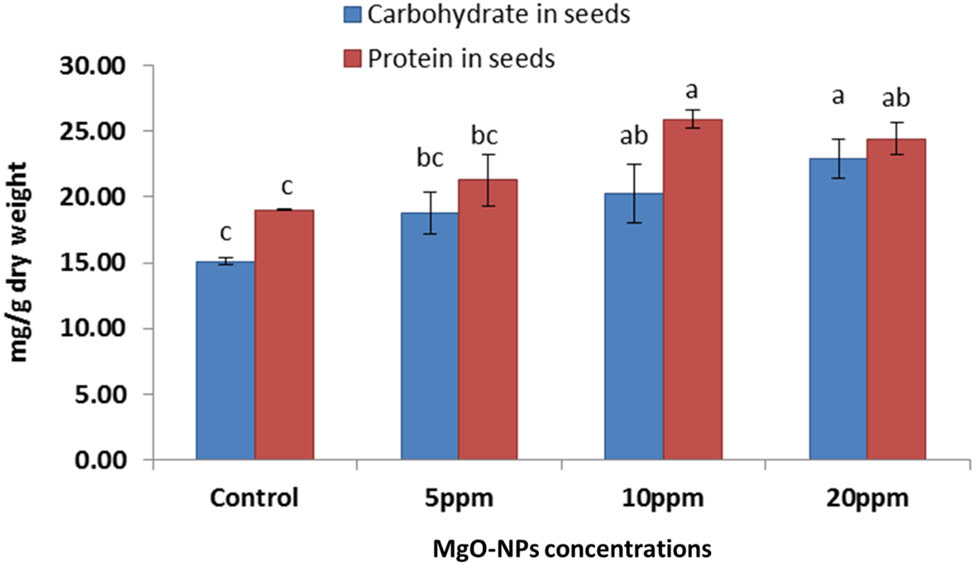 Green synthesis of magnesium oxide nanoparticles using endophytic ...