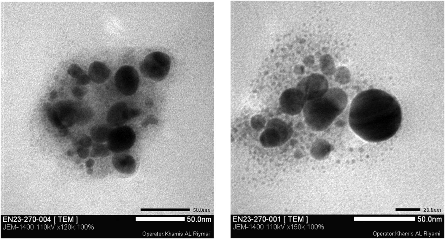 Enhancement efficacy of omeprazole by conjugation with silver ...