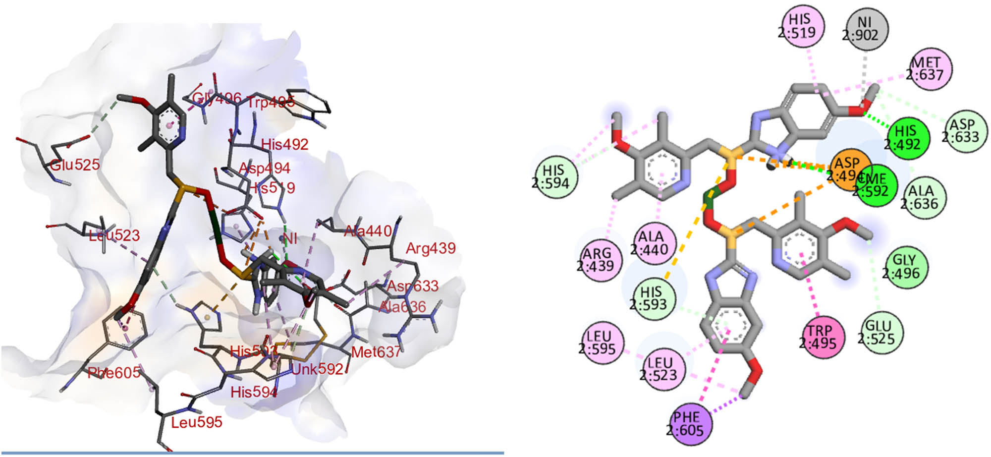 Enhancement efficacy of omeprazole by conjugation with silver ...