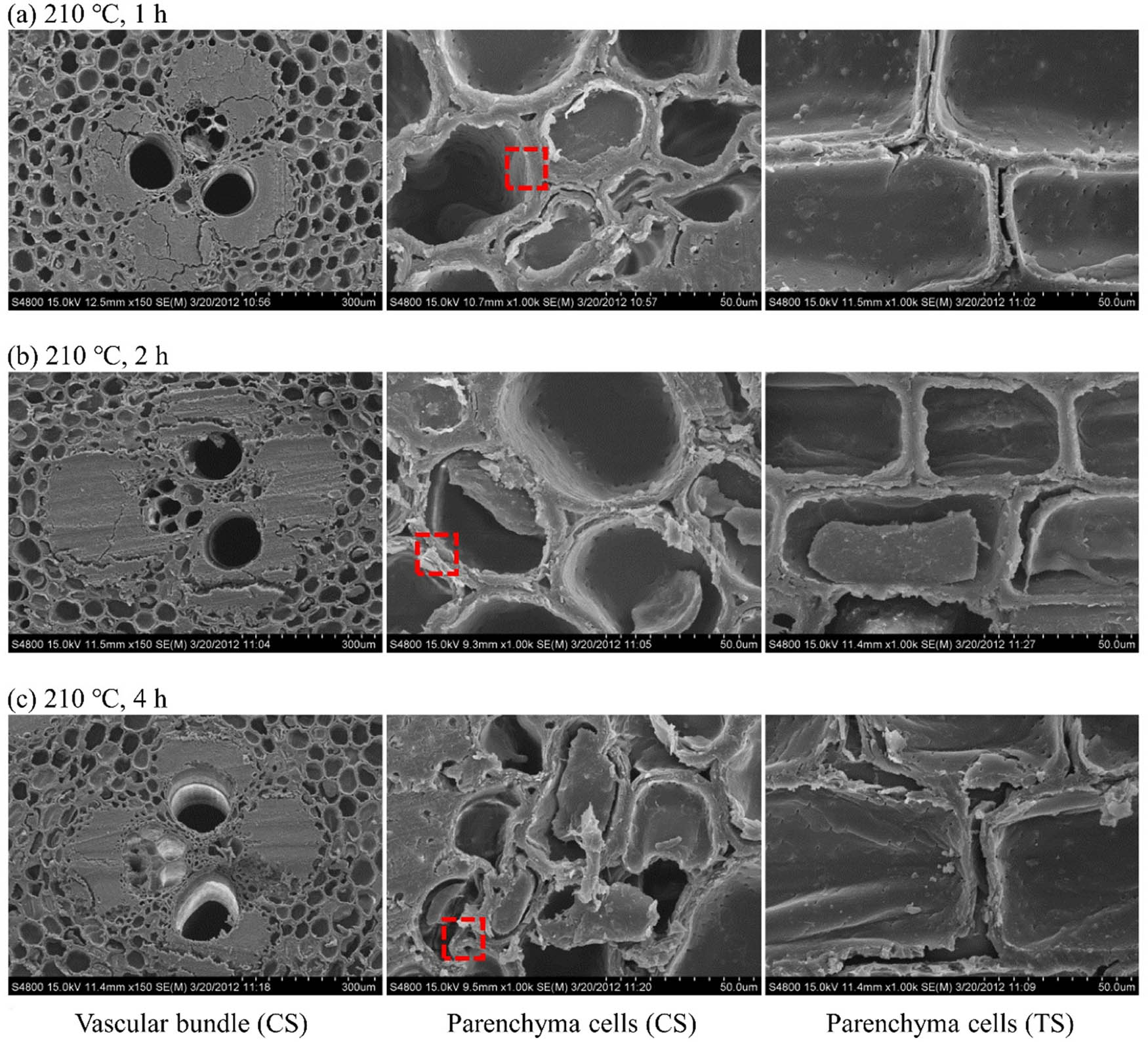 A review of thermal treatment for bamboo and its composites