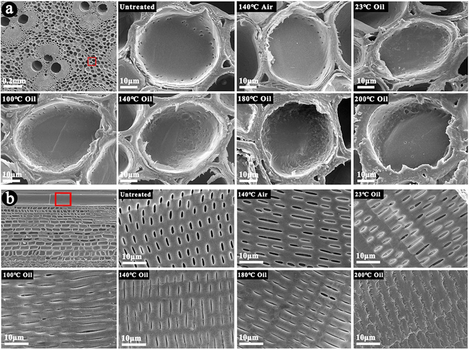 A review of thermal treatment for bamboo and its composites