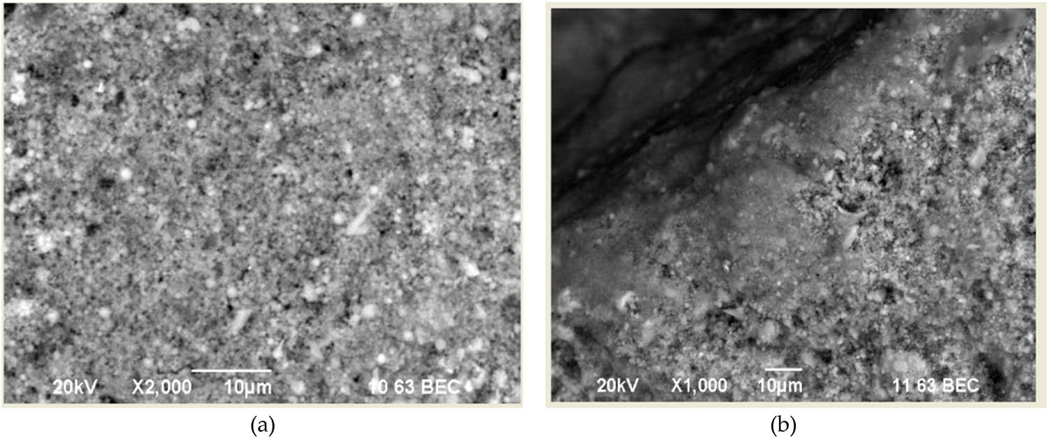 Synthesis of EPAN and applications in the encapsulation of potassium humate