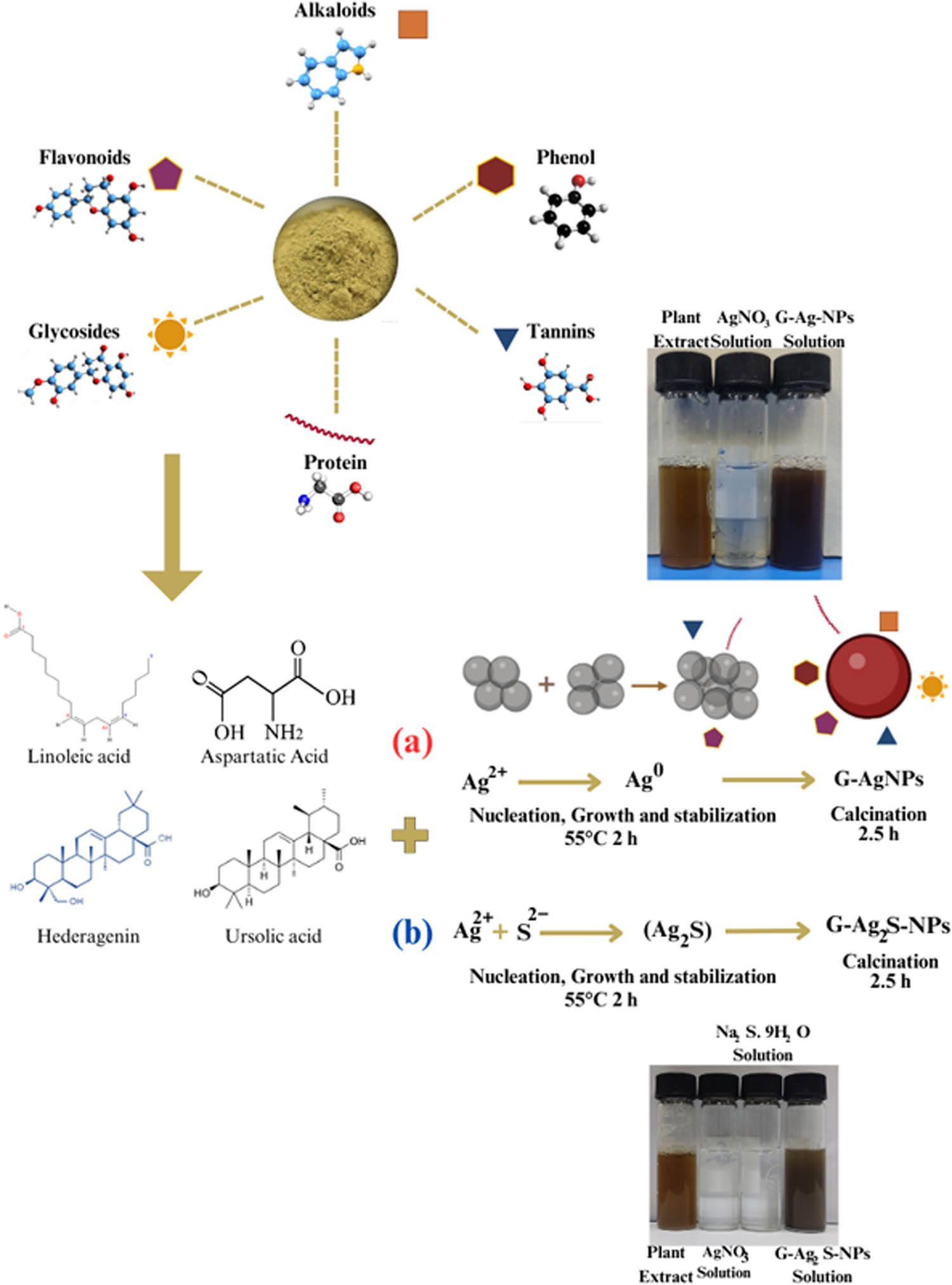 A comparative study of Fagonia arabica fabricated silver sulfide ...
