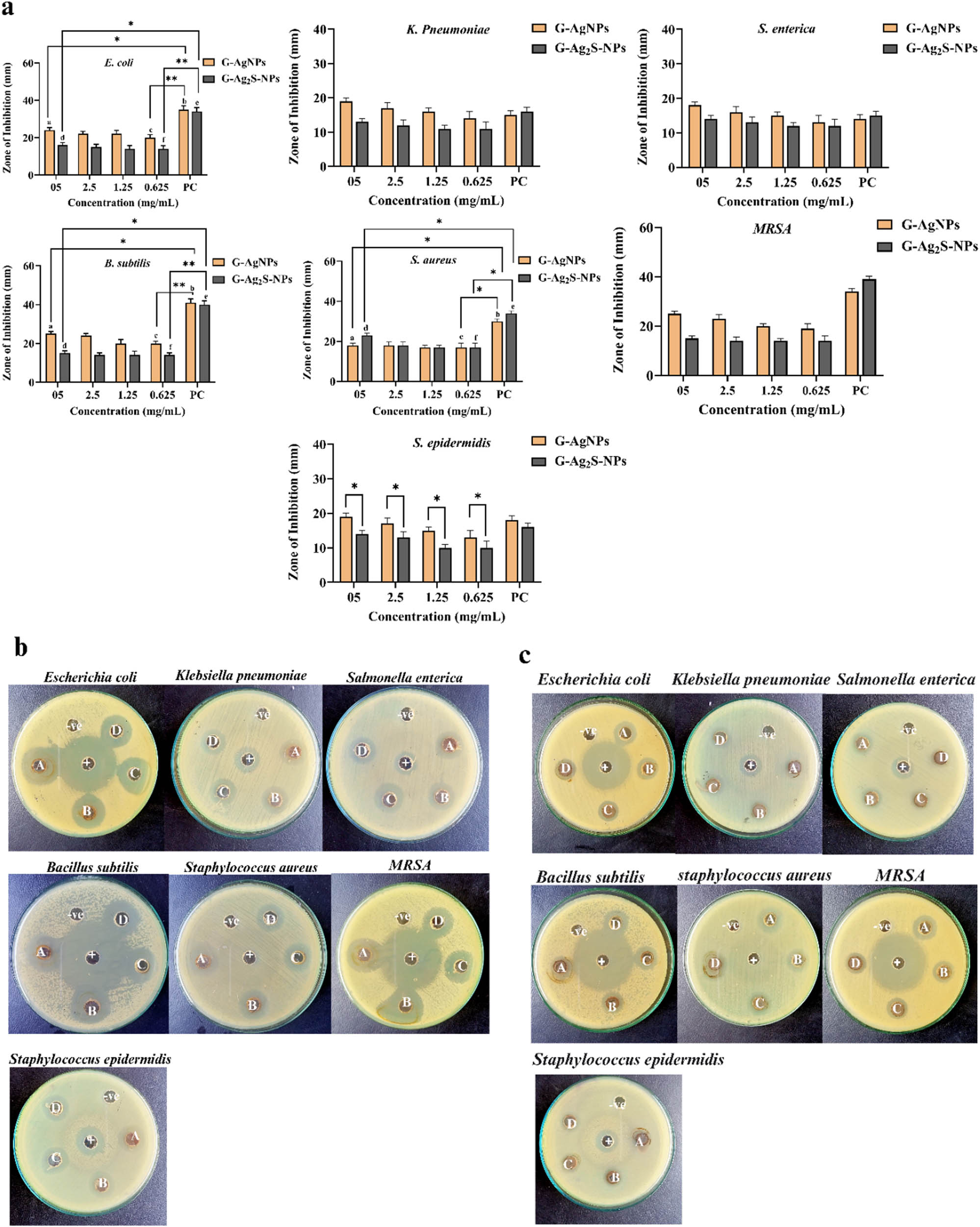 A comparative study of Fagonia arabica fabricated silver sulfide ...