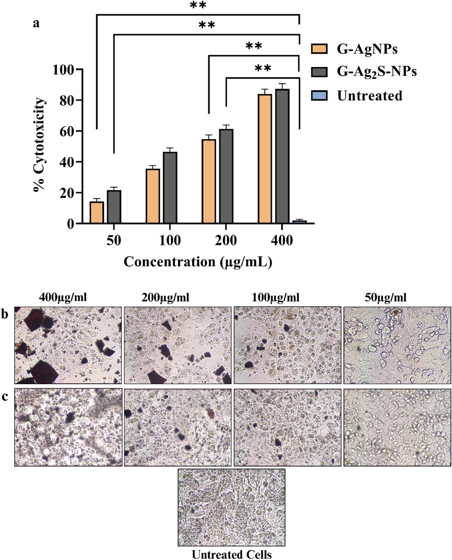 A comparative study of Fagonia arabica fabricated silver sulfide ...