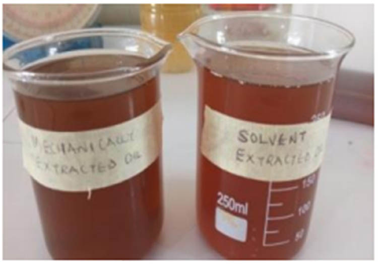 Green synthesis on performance characteristics of a direct injection ...