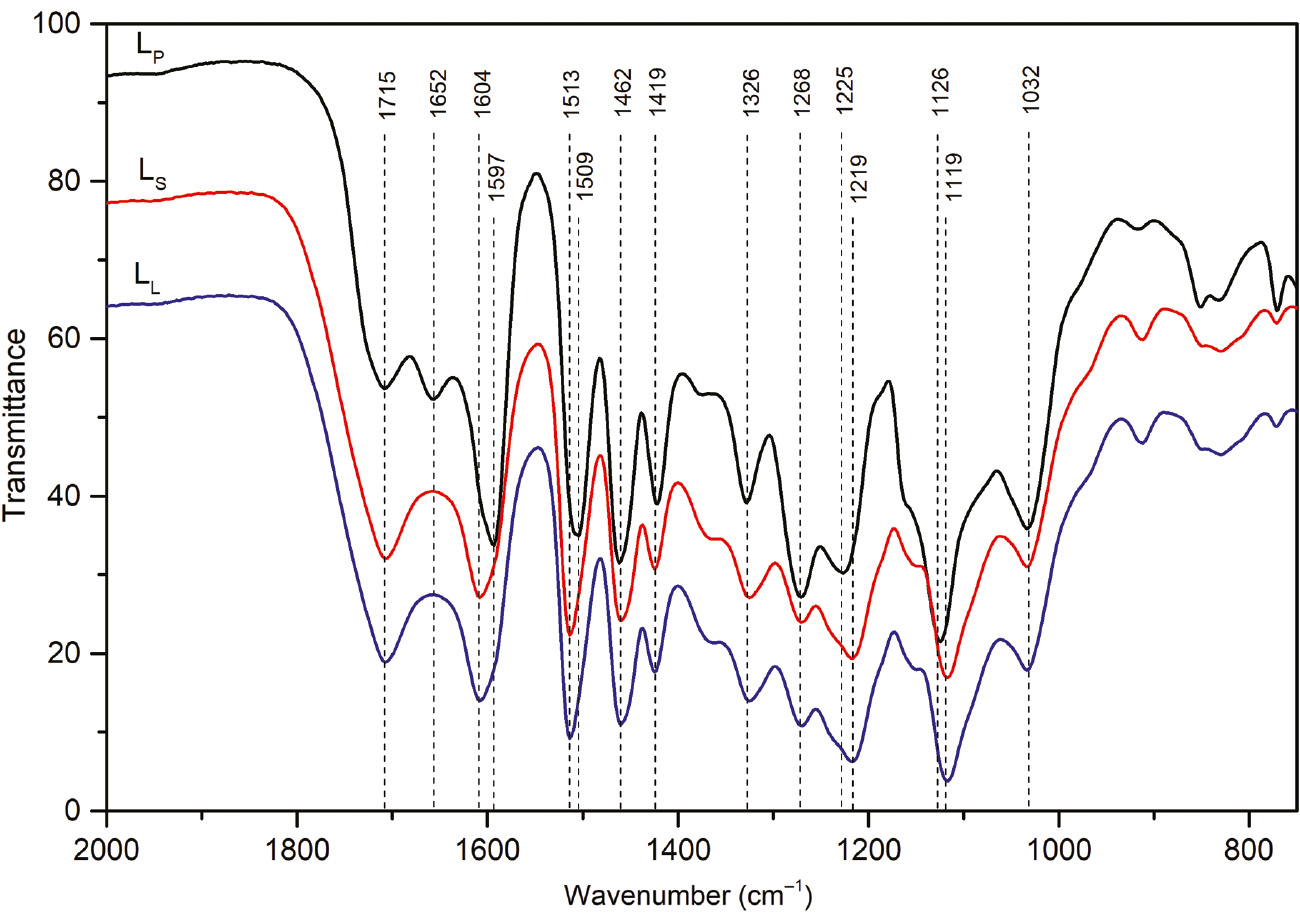 Understanding the structural changes of lignin in poplar following ...
