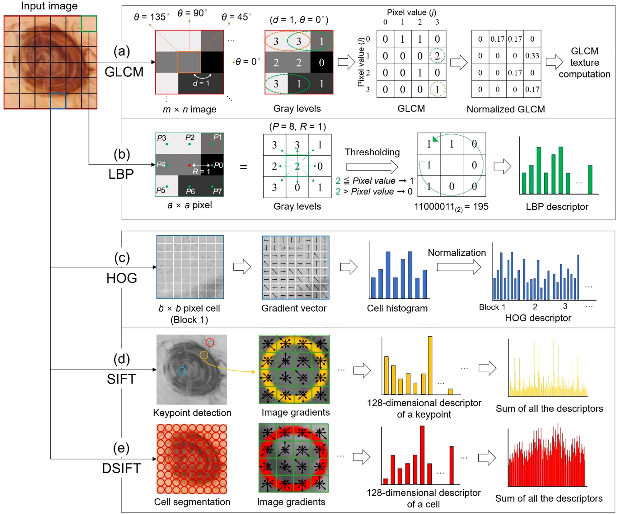 Classification of wood knots using artificial neural networks with texture and local feature ...