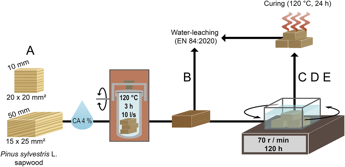 Effect of pressurized hot water extraction and esterification on the ...