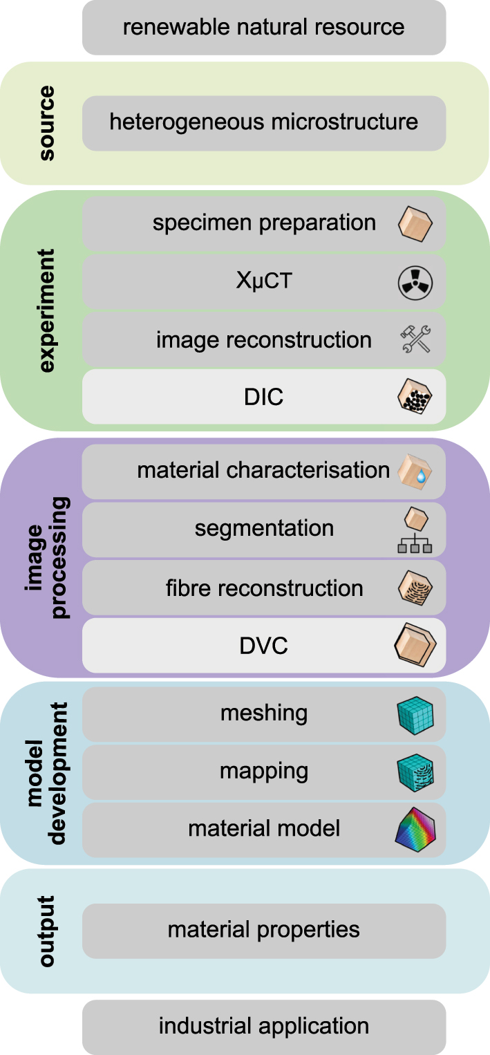 Microscopic computed tomography aided finite element modelling as a ...