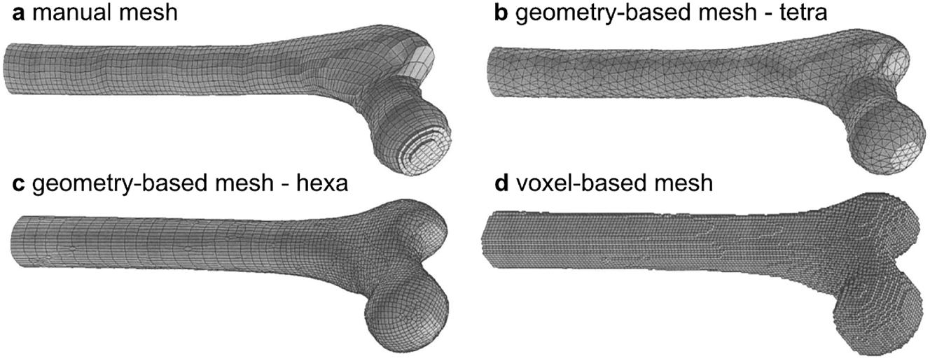 An overview of lab-based micro computed tomography aided finite element ...