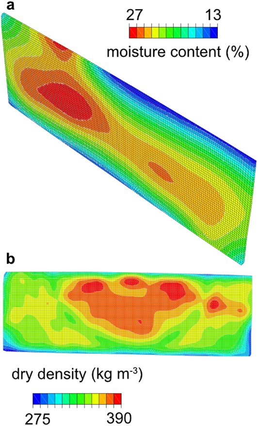 An overview of lab-based micro computed tomography aided finite element modelling of wood and ...