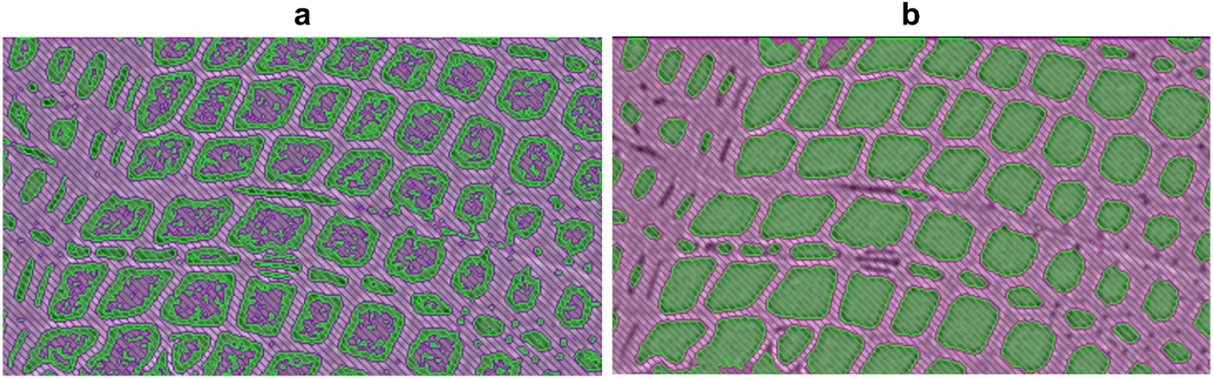 An overview of lab-based micro computed tomography aided finite element ...