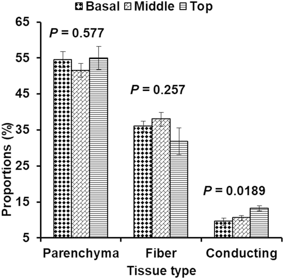 Anatomical and density properties of Oxytenanthera abyssi...