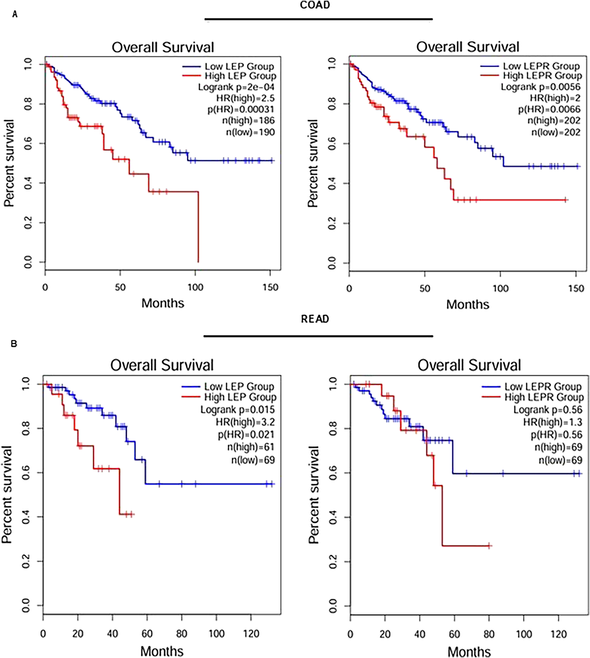 Leptin in colorectal cancer: literature review
