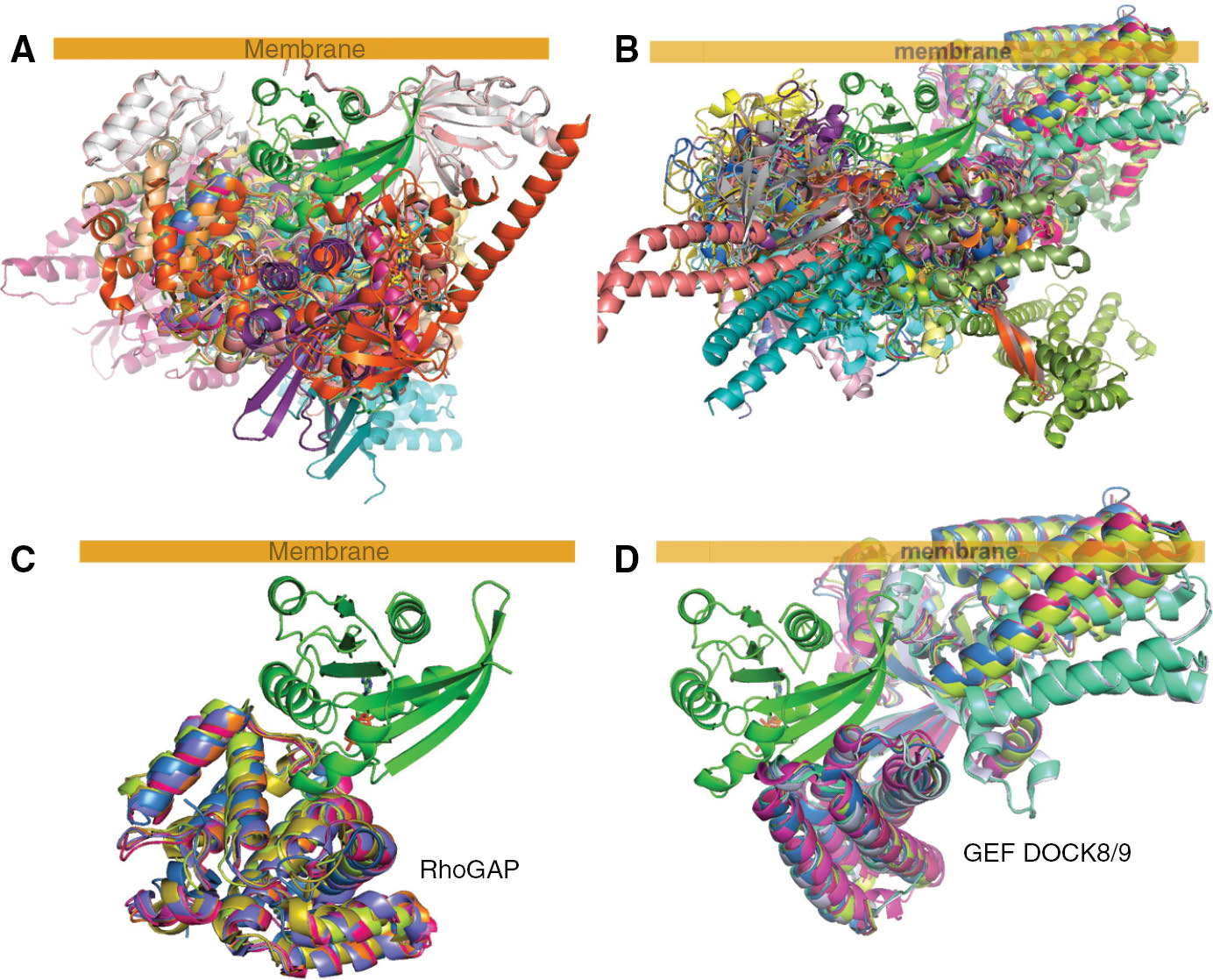 Interface analysis of small GTP binding protein complexes suggests ...