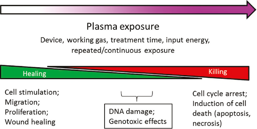 Safety implications of plasma-induced effects in living cells – a ...