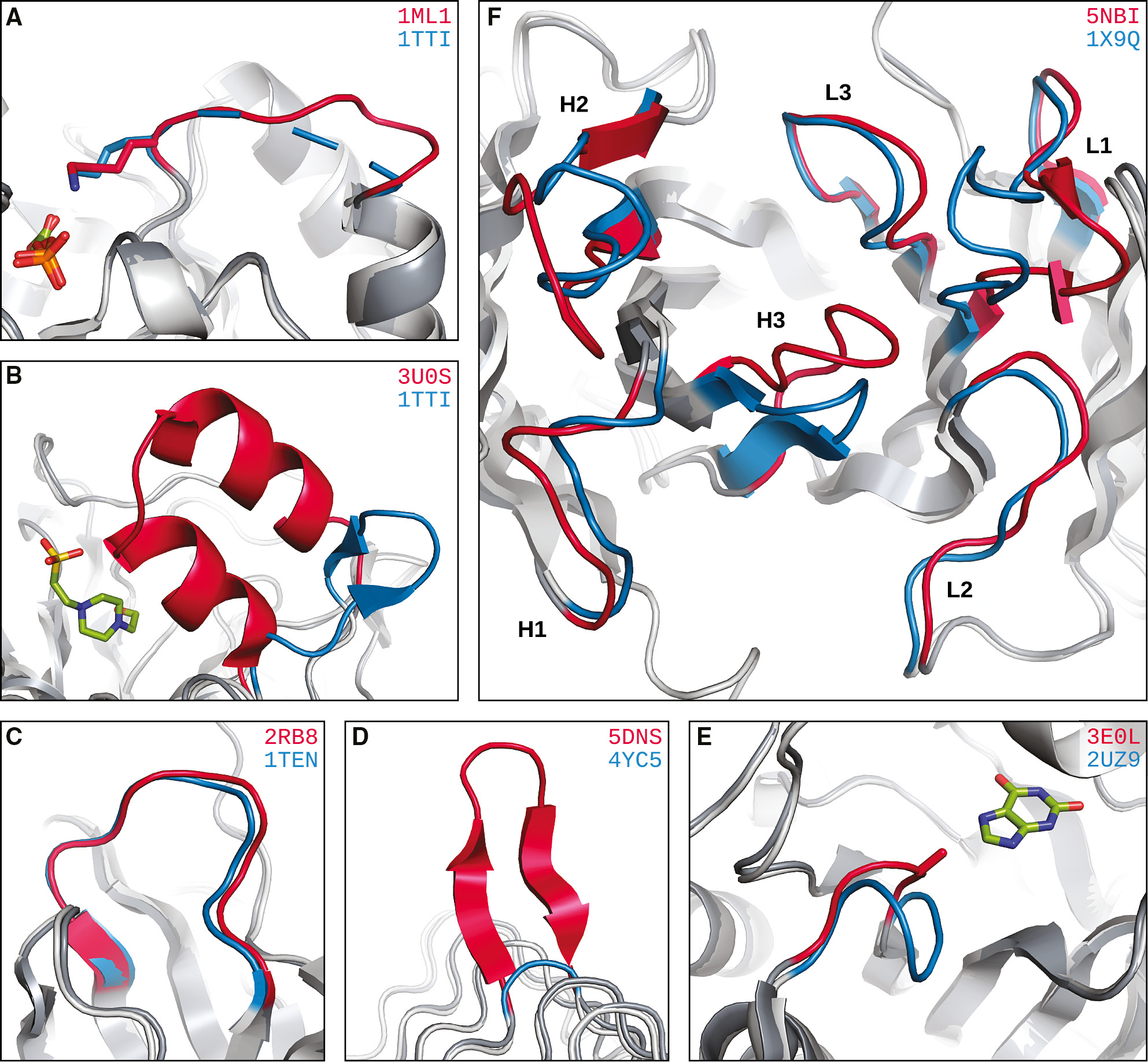 Computational design of structured loops for new protein functions