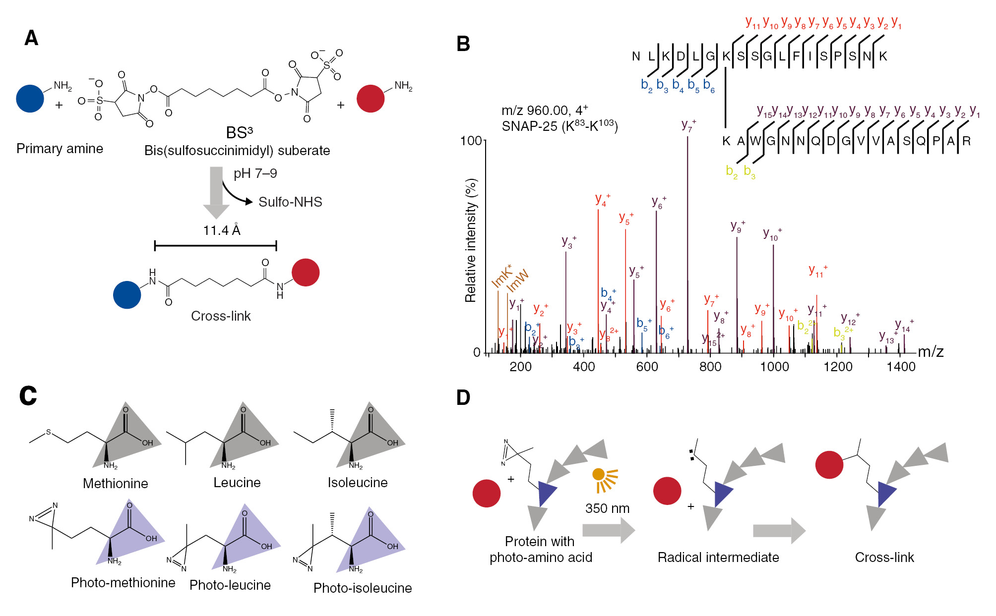 Mass spectrometry of membrane protein complexes