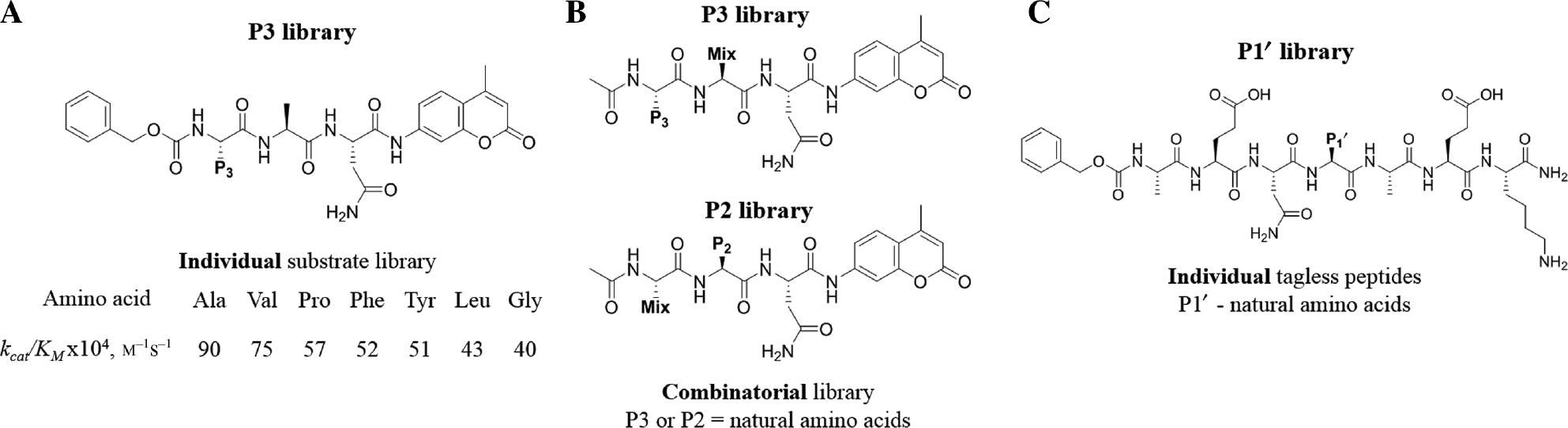 Recent advances in the development of legumain-selective ...