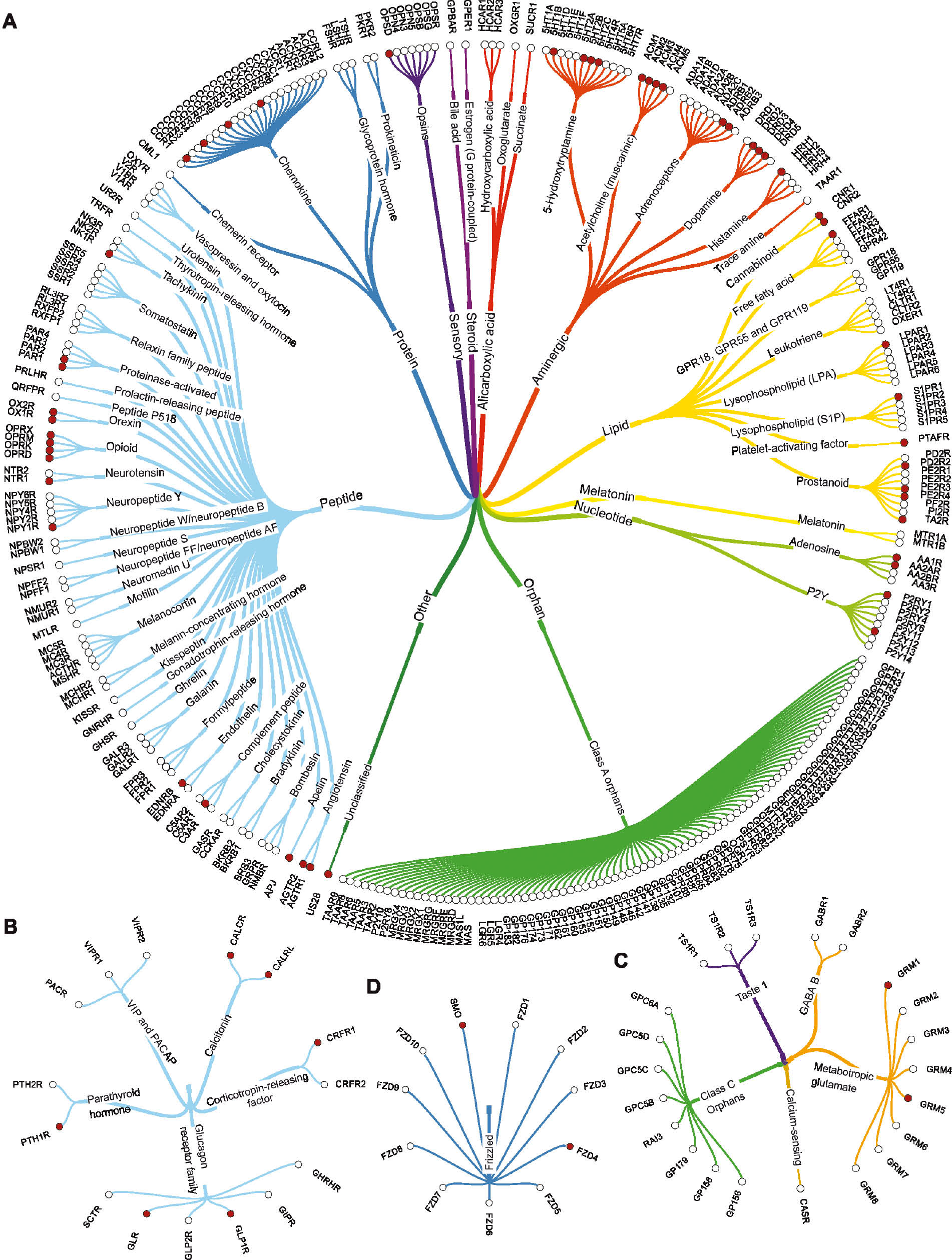 Structural investigations of cell-free expressed G protein-coupled ...
