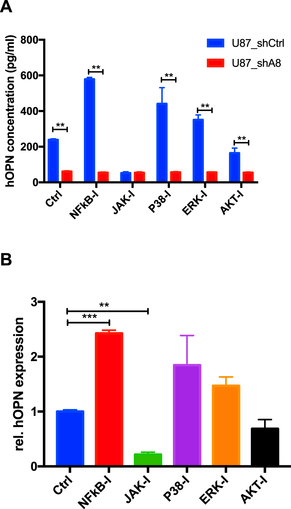 ADAM8 affects glioblastoma progression by regulating osteopontin ...