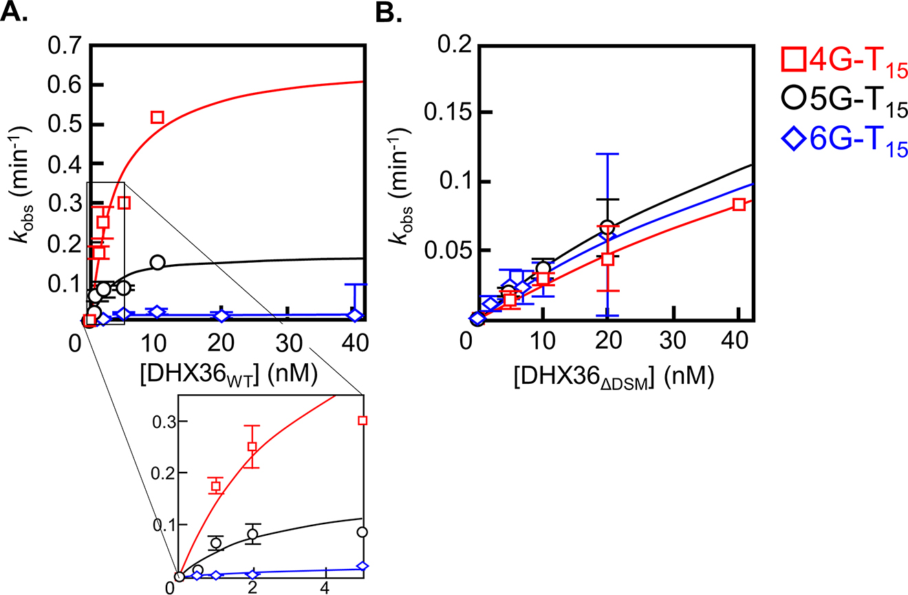 The DHX36-specific-motif (DSM) enhances specificity by accelerating ...