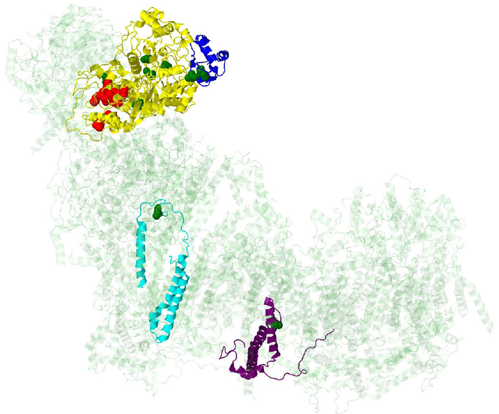 Prediction and analysis of redox-sensitive cysteines usin...