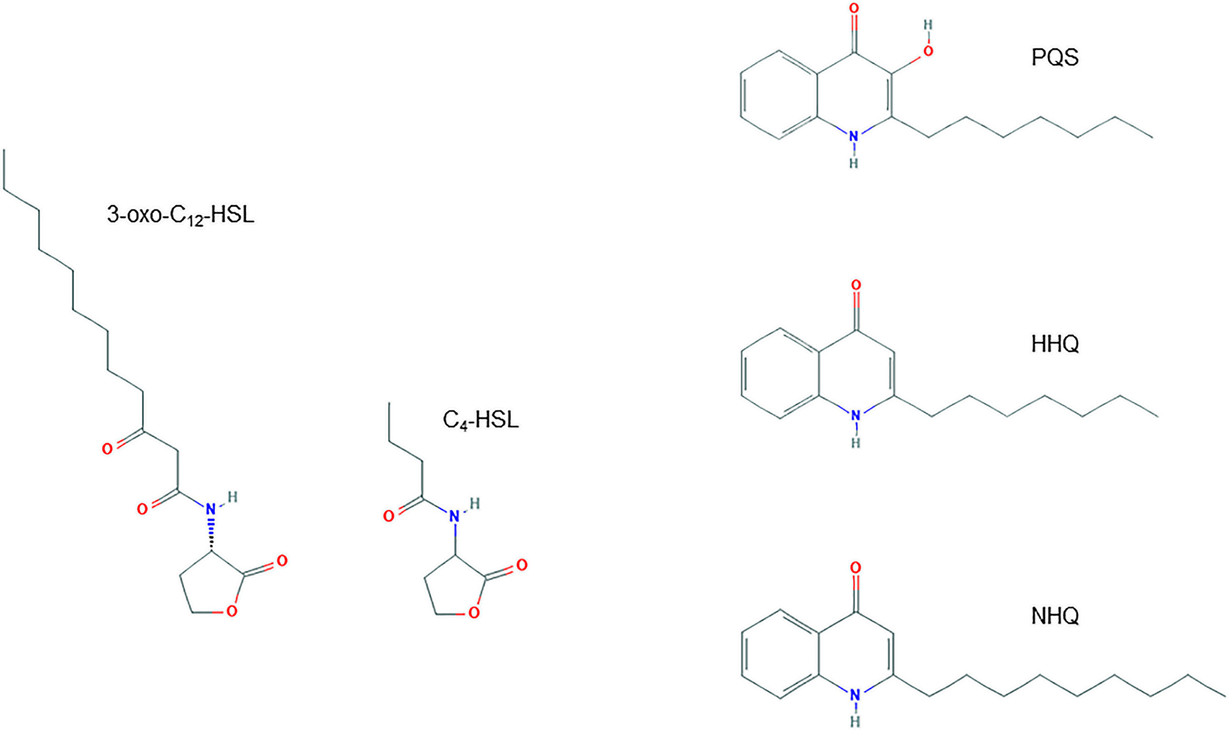 Pseudomonas aeruginosa and Staphylococcus aureus virulence factors as ...