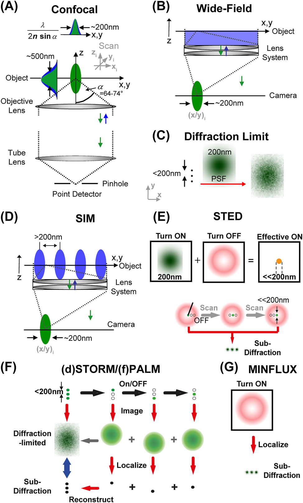 Super-resolution microscopy and studies of peroxisomes