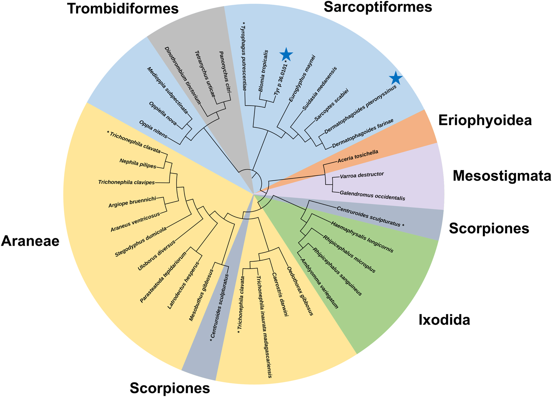 Structural homology of mite profilins to plant profilins is not ...