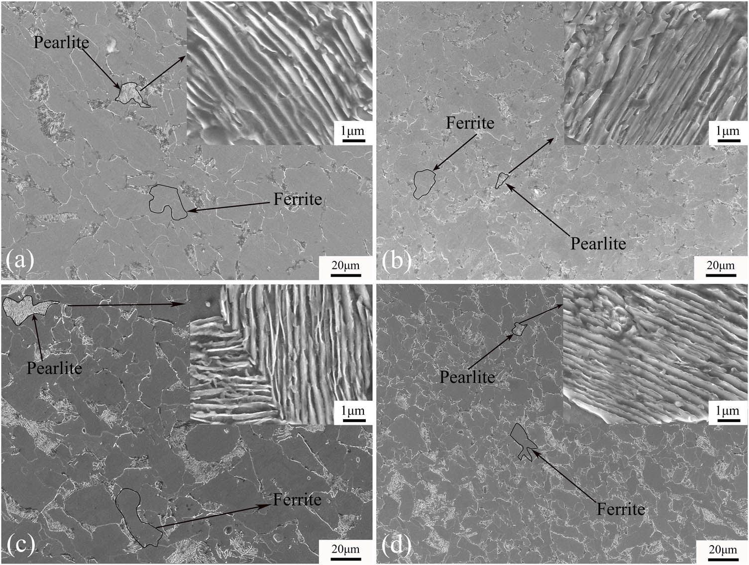 Effect of different isothermal times on the microstructure and mechanical properties of high ...
