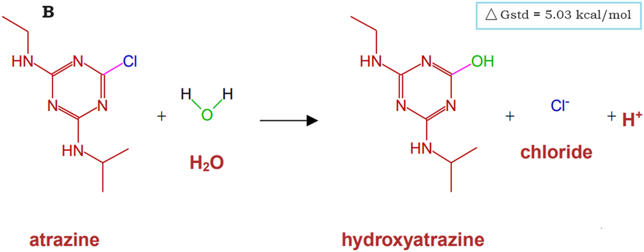 Biodegradation of atrazine, a review of its metabolic pathways