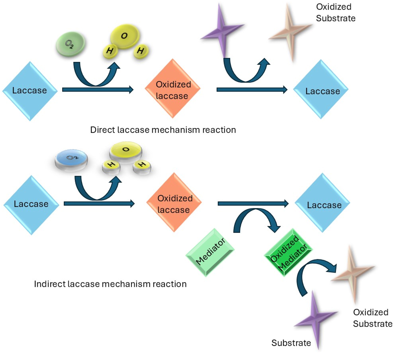 Biodegradation of atrazine, a review of its metabolic pathways