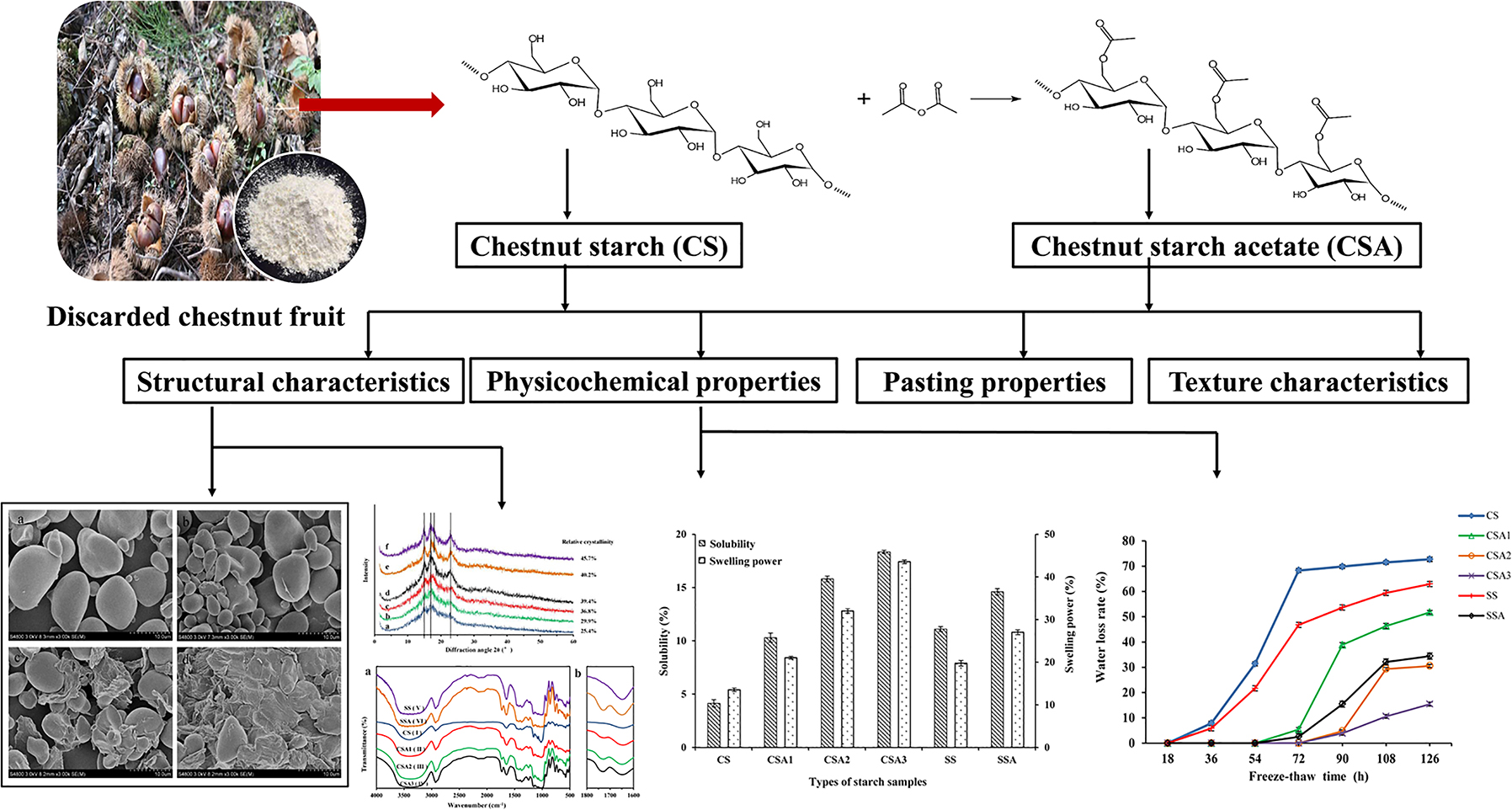 Characterization of chestnut starch acetate with differen...