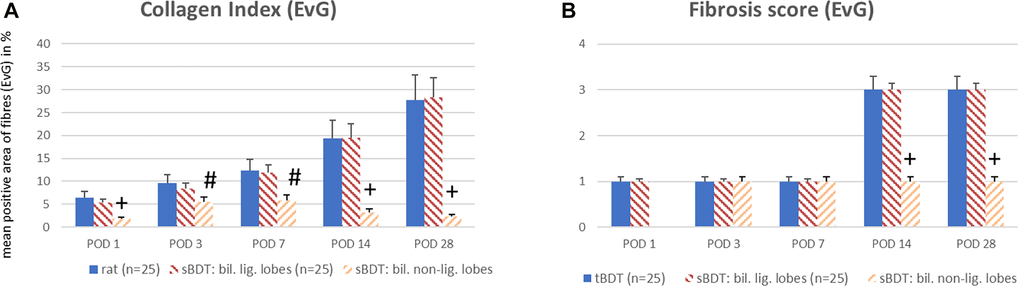 Selective biliary occlusion in rodents: description of a new technique