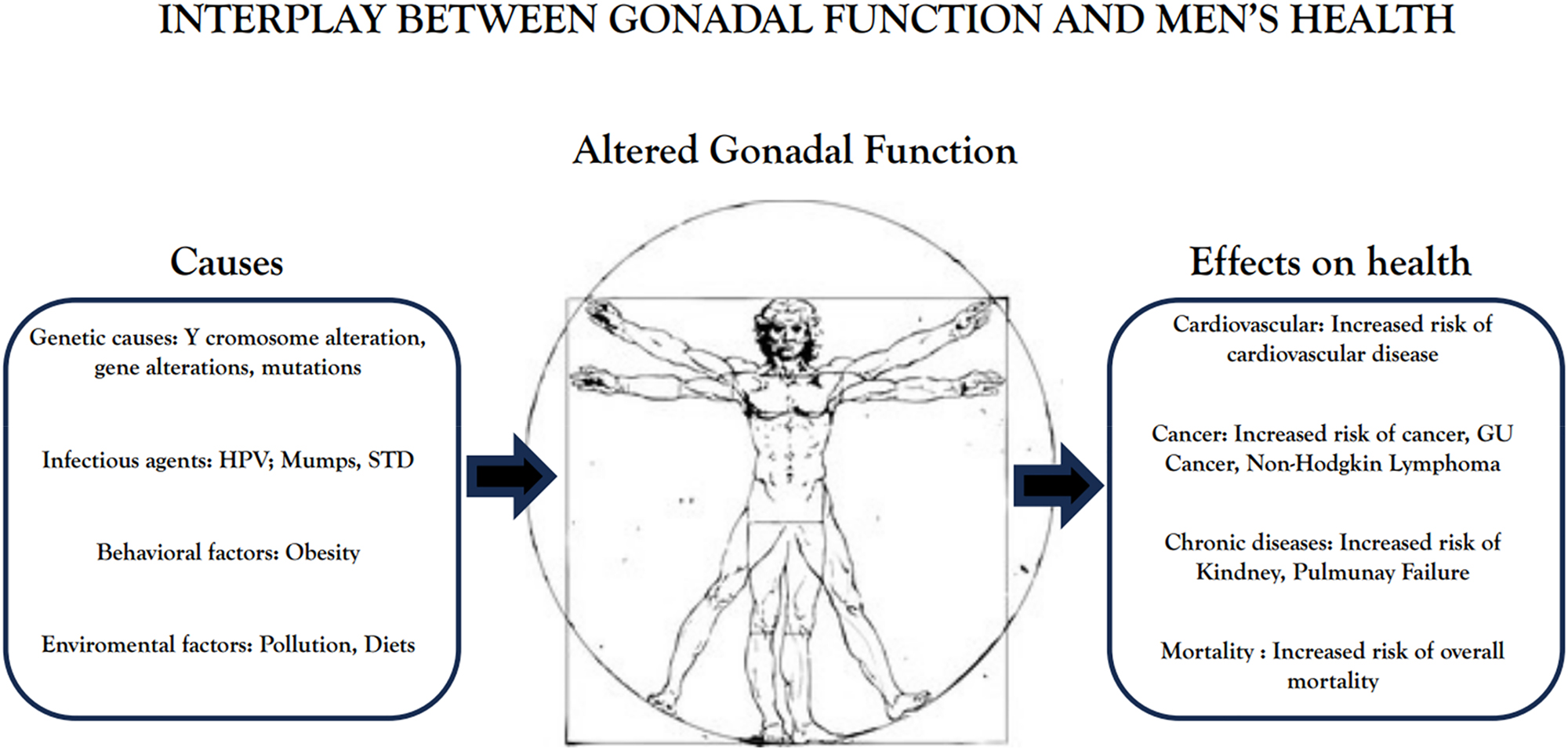 Interplay between male gonadal function and overall male health