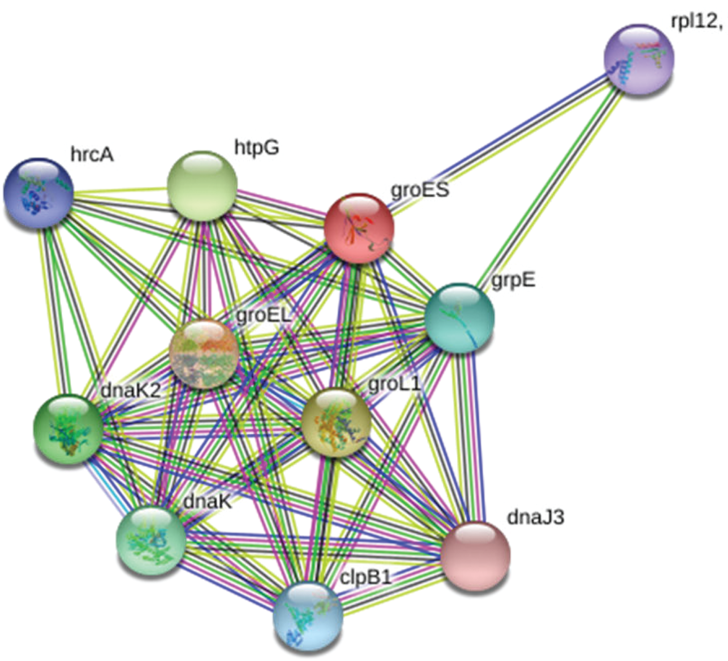 Computational Analysis of the Hypothetical Protein P9303_05031 from ...