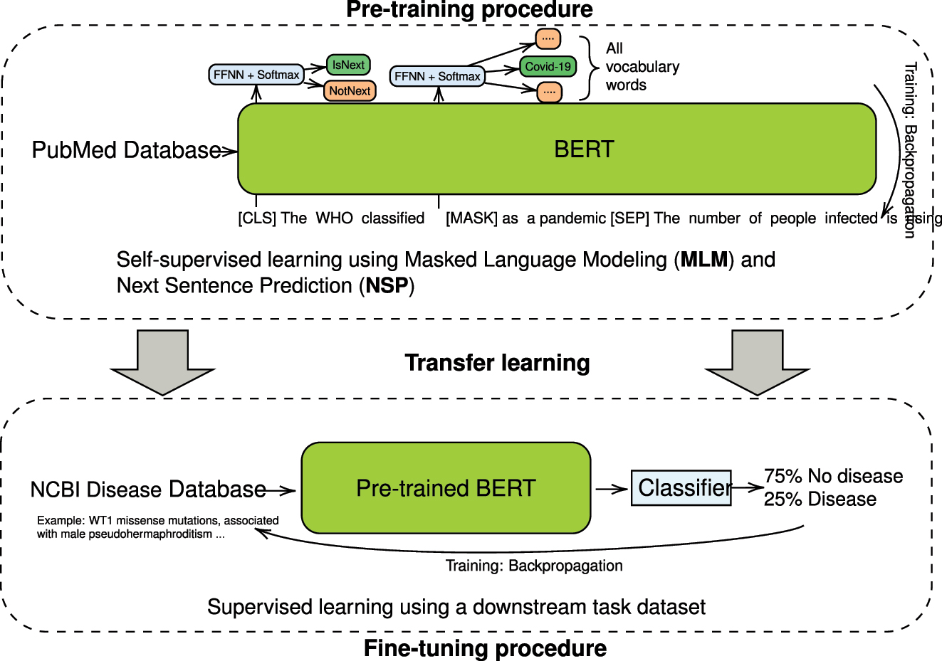 Ion channel classification through machine learning and protein language model embeddings