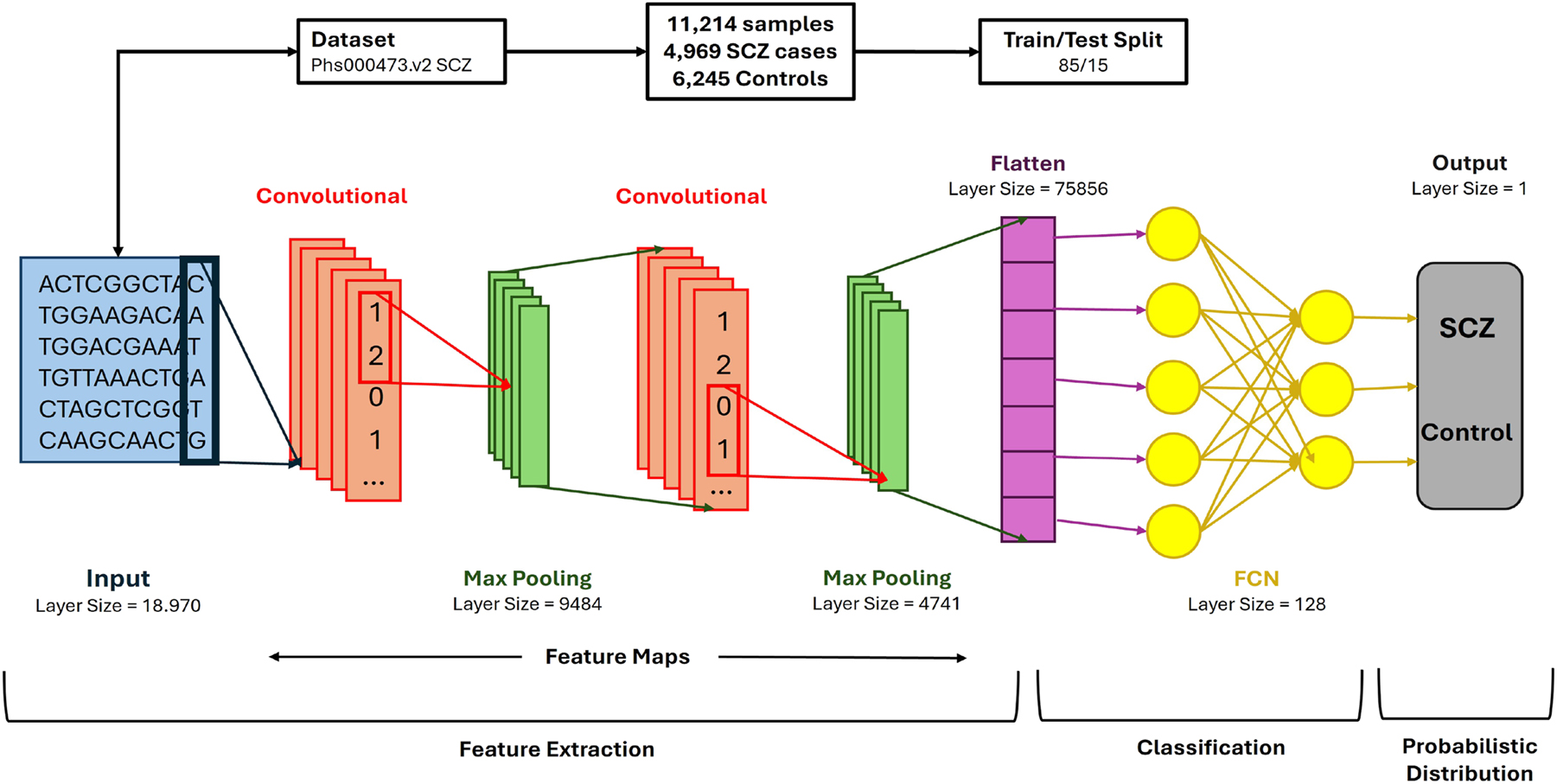 Integrating AI and genomics: predictive CNN models for sc...