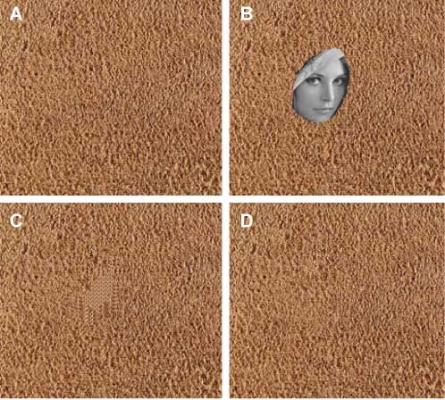 Texture Inpainting Using Covariance in Wavelet Domain