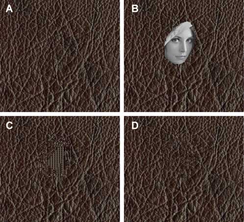 Texture Inpainting Using Covariance in Wavelet Domain