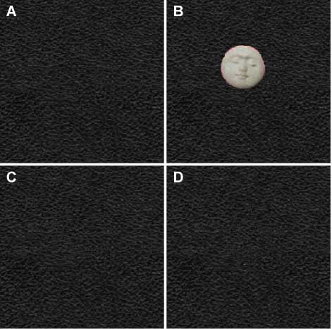 Texture Inpainting Using Covariance in Wavelet Domain